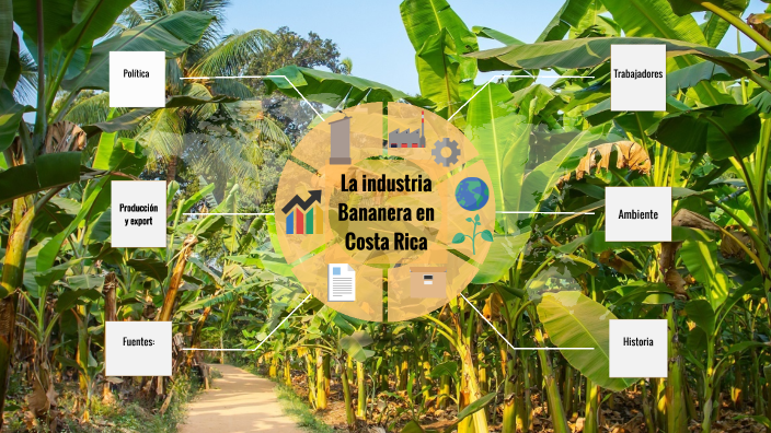 Las Bananeras en CR by Preben Reinaas Rotlid on Prezi