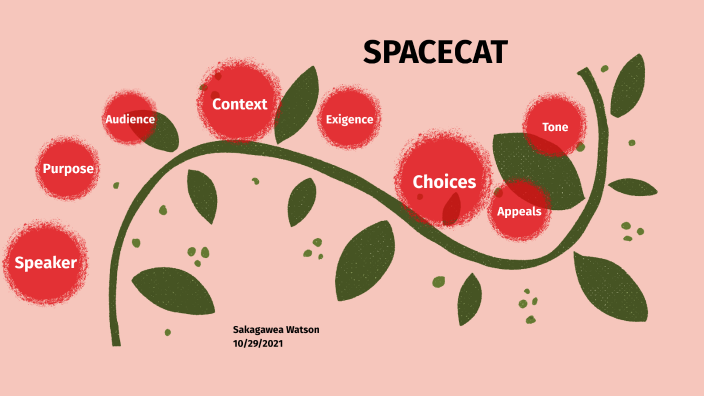 SPACECAT by Grace Watson on Prezi
