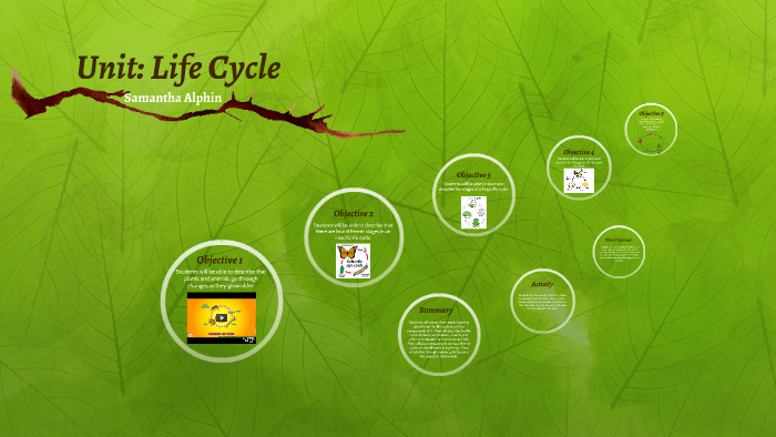 Unit: Life Cycle by Samantha Alphin on Prezi