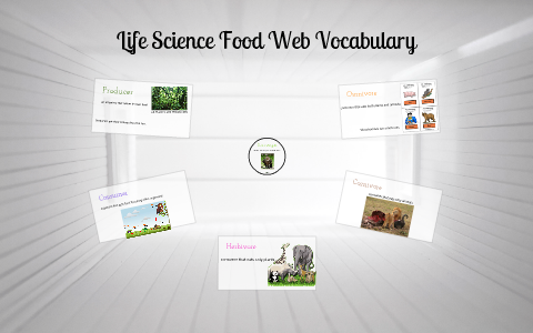 Life Science Food Web Vocabulary by Tracy Sundwall on Prezi
