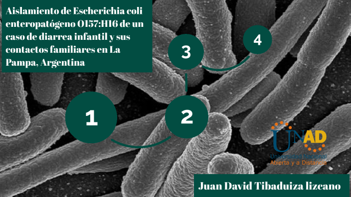 Microbiología by Juan Lizcano on Prezi