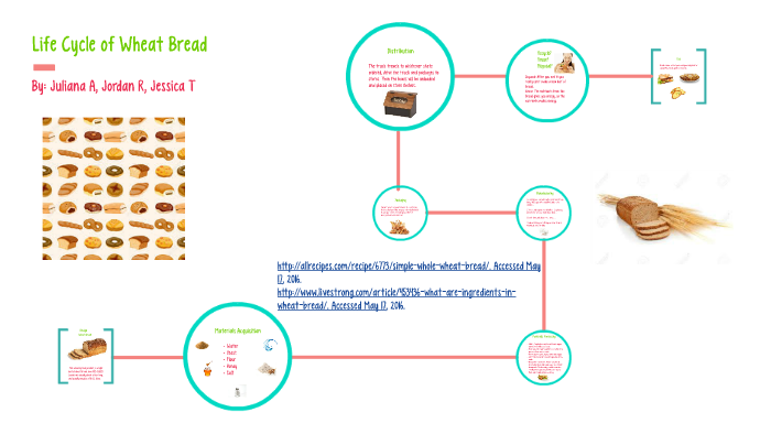 Life Cycle of Wheat Bread by Jessica Terhune on Prezi