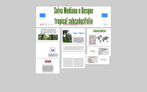 Selva Mediana o Bosque tropical subcaducifolio by Carla German on Prezi