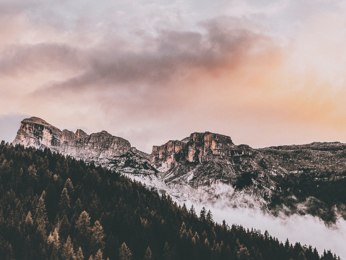 Enfermedades Mentales y trastornos en animales by Benjamin Soliz ...