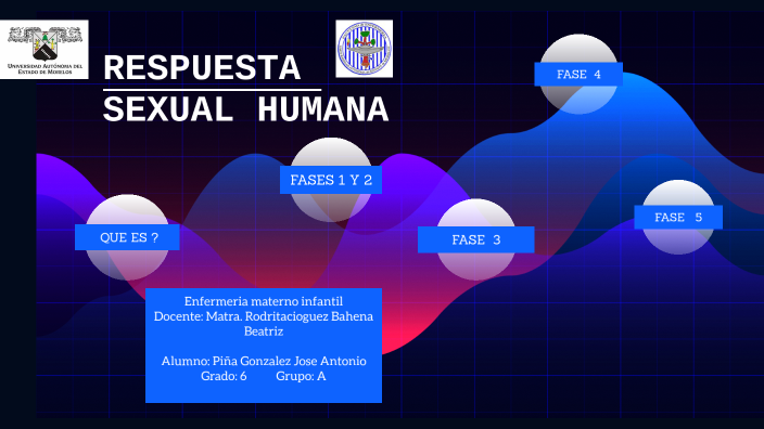 Respuesta Sexual Humana By Jose Piña On Prezi
