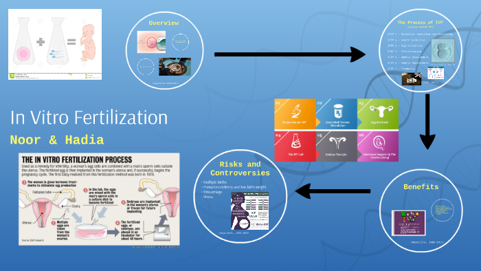 In Vitro Fertiliaztion by Hadia Alvi on Prezi