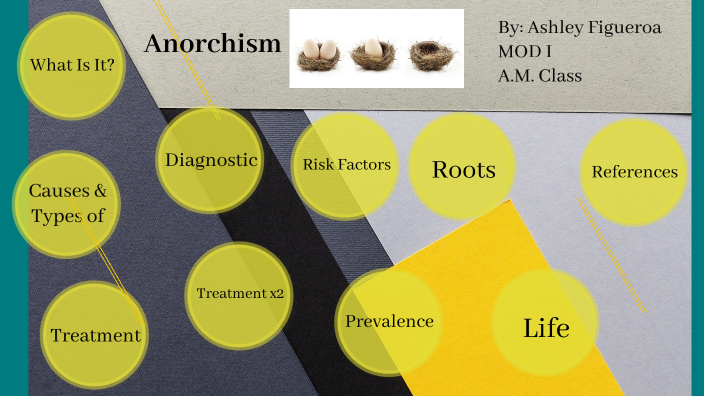 Anorchism by Ashley Figueroa on Prezi