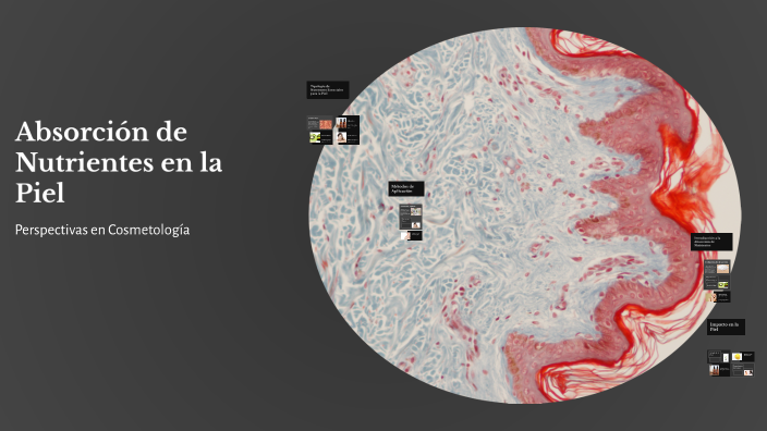 Absorción de Nutrientes en la Piel by Victoria Roa on Prezi