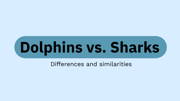 Dolphins vs. Sharks by Bryn Appel on Prezi