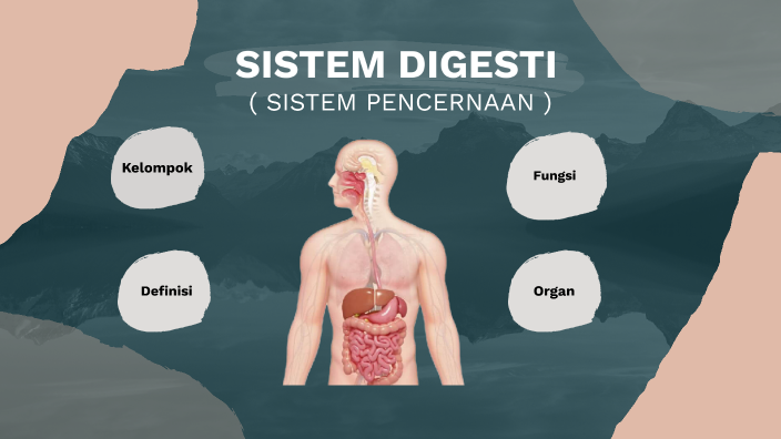 Anfis Sistem Pencernaan by Anis Amalia Kontesa on Prezi