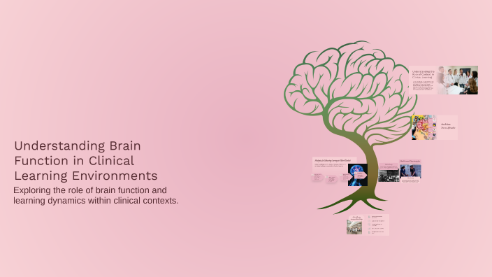 Understanding Brain Function in Clinical Learning Environments by Viane ...