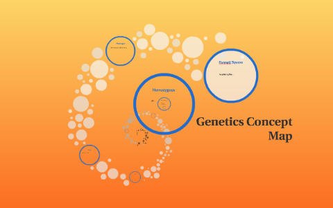 Genetics Concept Map by anna rachel on Prezi