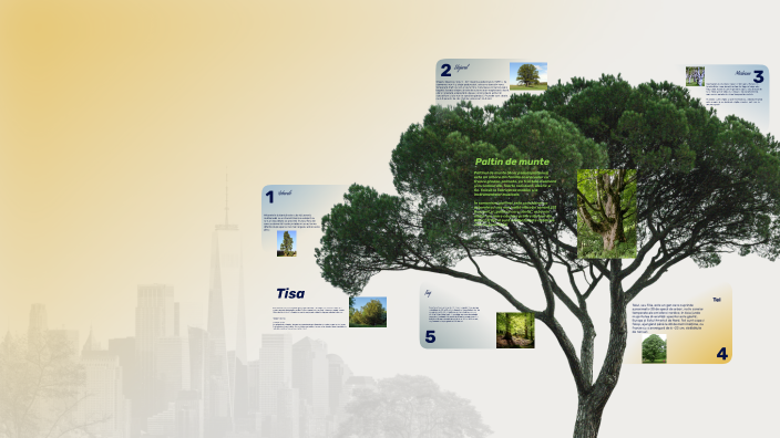 TIPURI DE COPACI by patrick tatomir on Prezi