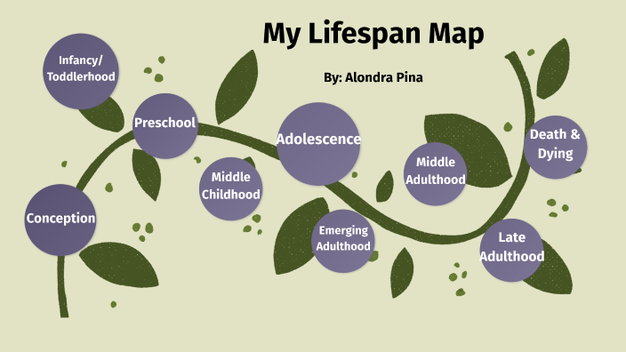 Lifespan Map by alondra Pina on Prezi