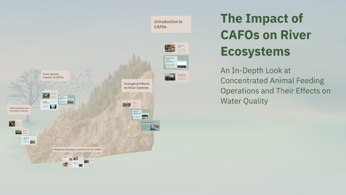 The Impact of CAFOs on River Ecosystems by Anthony Leon on Prezi