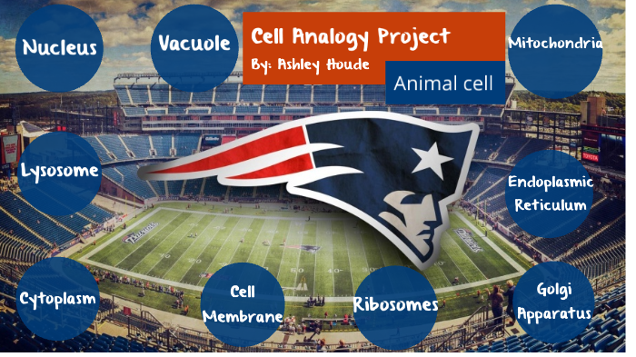 cell analogy project by Ashley Houde on Prezi