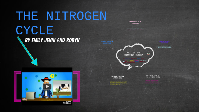 THE NITROGEN CYCLE by emily murchison on Prezi