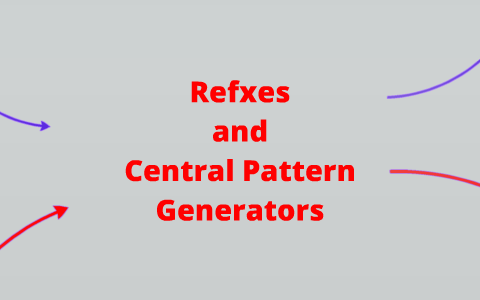 Reflexes and Central Pattern Generator by cam s on Prezi