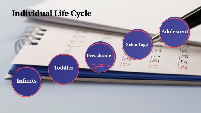 Individual Life Cycle by Ruth Reyes on Prezi