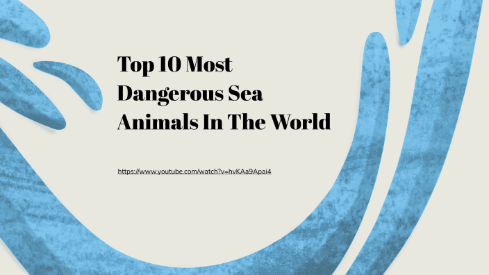 Top 10 Most Dangerous Sea Animals In The World by Iker Orallo on Prezi