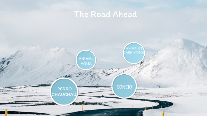ANIMALES by melissa negrete pineda on Prezi