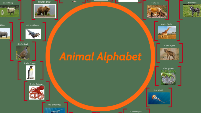 Animal Alphabet by Elizabeth Dunning on Prezi