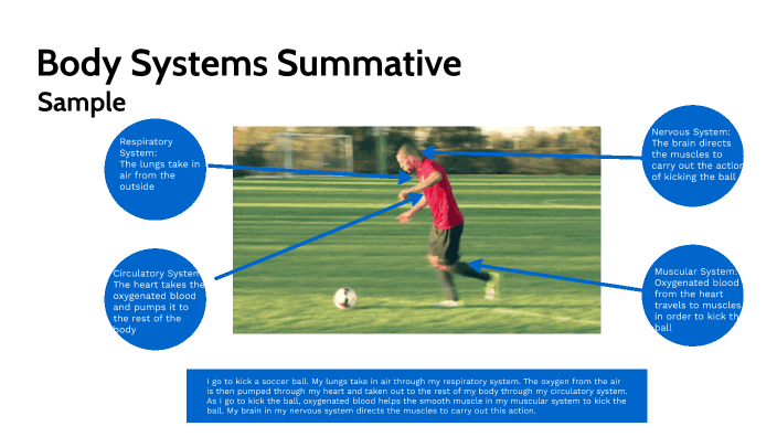 Body Systems Summative Example by Hayley Graves on Prezi