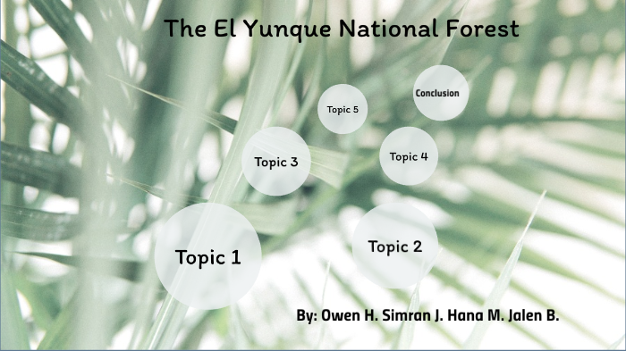 El Yunque National Forest by Simran Jagtap on Prezi
