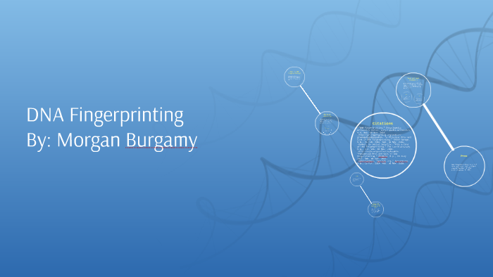 DNA Fingerprinting by Morgan Burgamy on Prezi