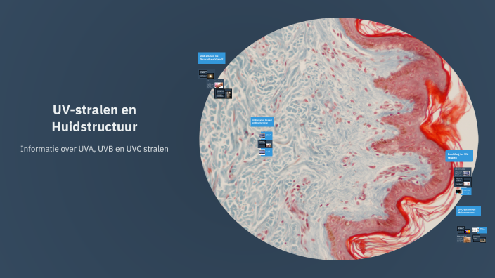 UV-stralen en Huidstructuur by Jurre Schepers on Prezi