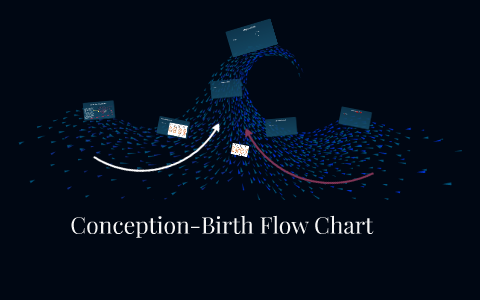 Conception-Birth Flow Chart by on Prezi