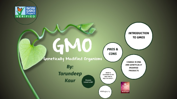 GMO (Grade 8 Science) by Tarundeep Kaur on Prezi