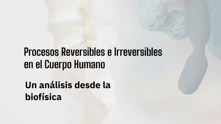 Procesos Reversibles e Irreversibles en el Cuerpo Humano by sergio ...