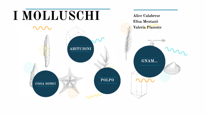 I MOLLUSCHI by Alice Calabrese on Prezi