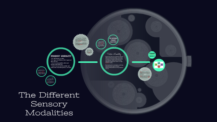 The Different Sensory Modalities by Meika Ozoa on Prezi