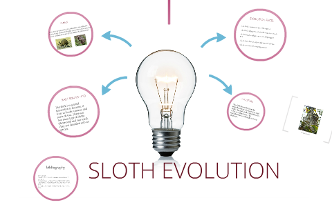 le sloth evolution by zev revis on Prezi
