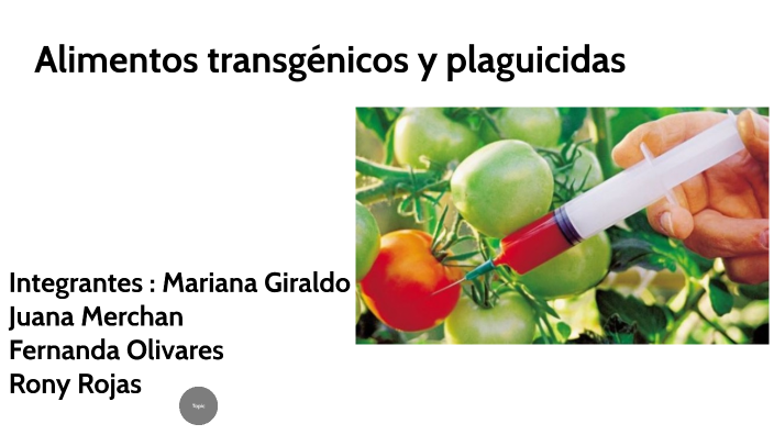 Alimentos transgénicos y plaguicida by Juana Merchan Zamora on Prezi