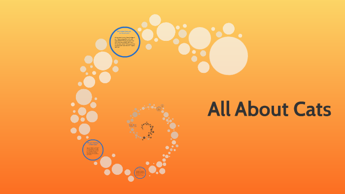 How to guide by Emily Pitts