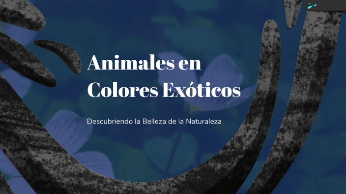 Animales en Colores Exóticos by Escuela on Prezi
