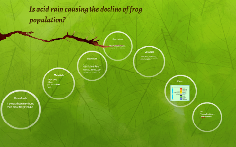 Is acid rain causing the decline of frog population? by valeria ...