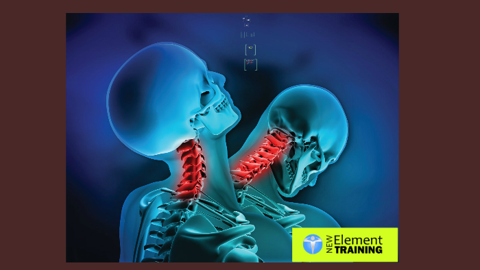 New Element Training Postural Presentation by Sarah Osman on Prezi