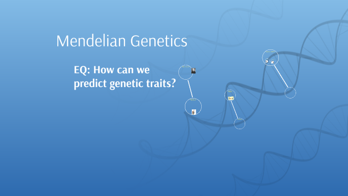 Mendelian Genetics by Samantha Gould on Prezi