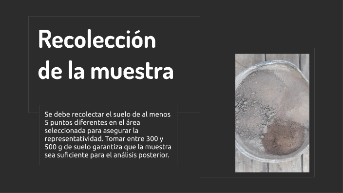 Muestra homogénea de suelo by Gastón Moya on Prezi