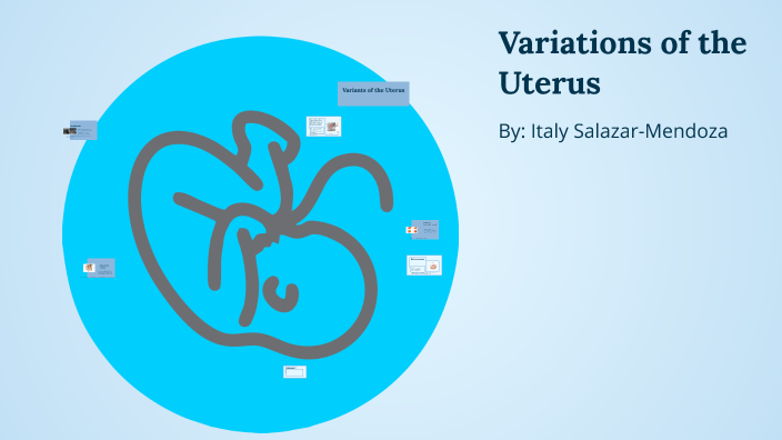 Variations of the Uterus by Italy Salazar on Prezi