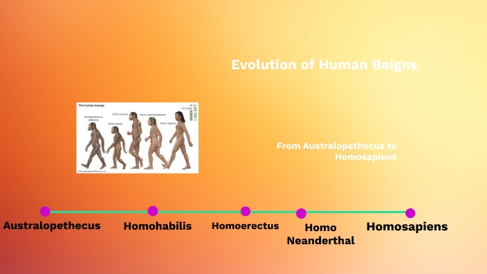 evolution of human beings by sonam dorjey on Prezi