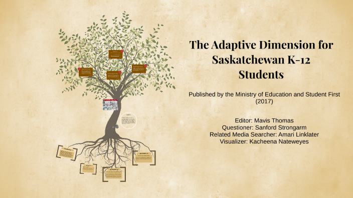 The Adaptive Dimension for Saskatchewan K-12 Students by Mavis Thomas ...