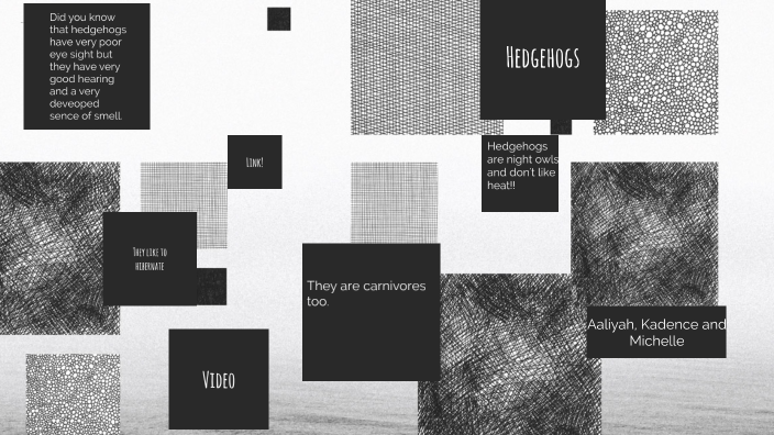 Hedgehog by Kaydence Coleman on Prezi