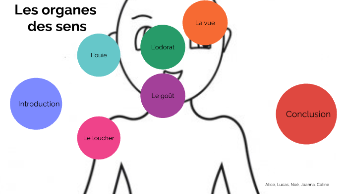 Les organes des sens by Joanna Jezequel on Prezi