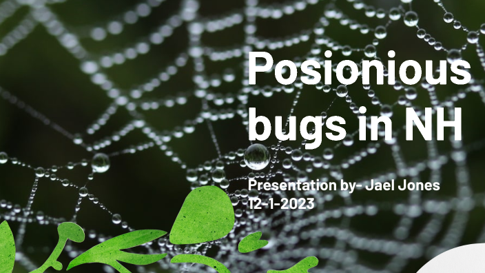 Posionious bugs in NH by Jael Jones on Prezi