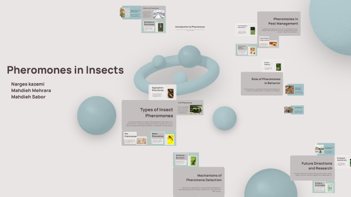 Pheromones in Insects by narges kazemi on Prezi